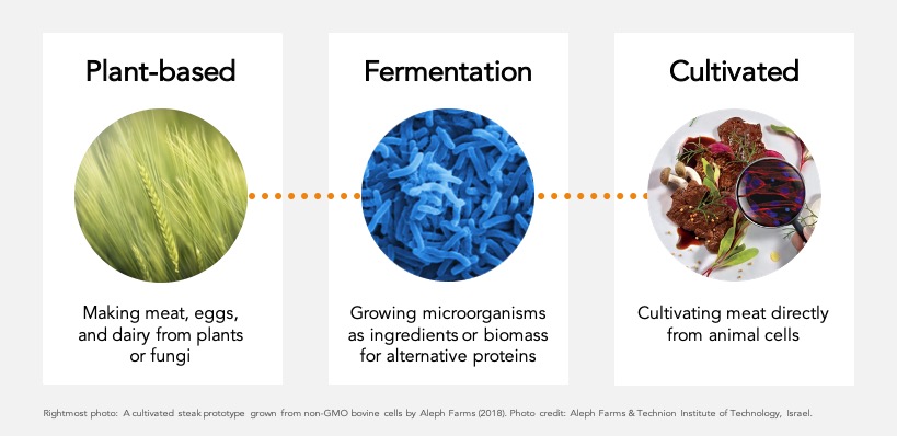 GFIdeas Community - The Good Food Institute