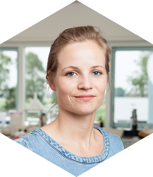 Good Food Institute Research Program